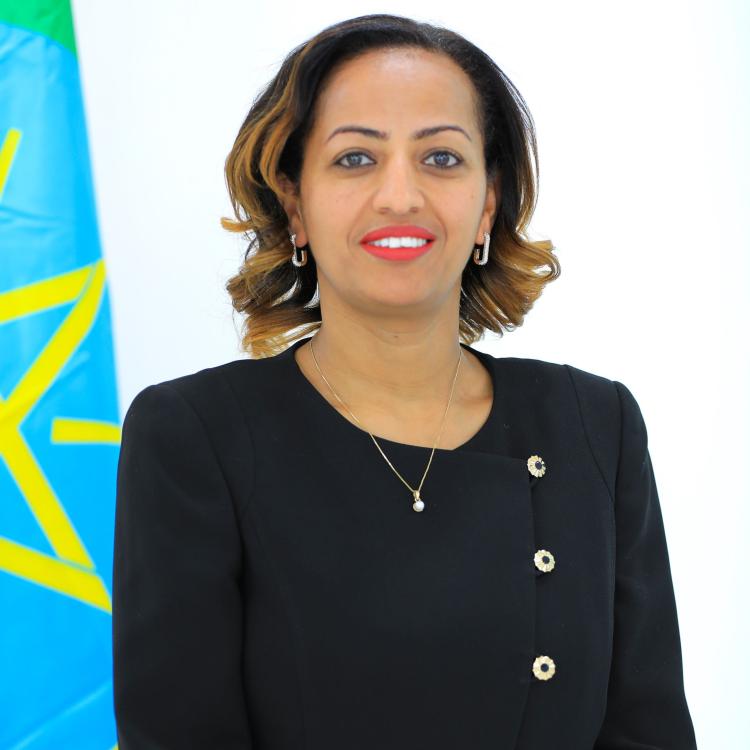 Profiles | MINISTRY OF HEALTH - Ethiopia